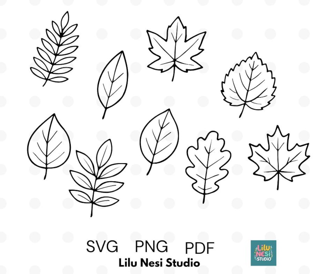 9 Fall Leaf Doodle Clipart | Black and White Autumn Leaves SVG PNG PDF ...