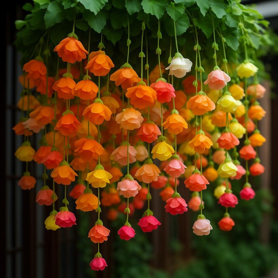 25+ Rainbow Weeping Begonia Seeds | Multicolor Hanging Begonia ...