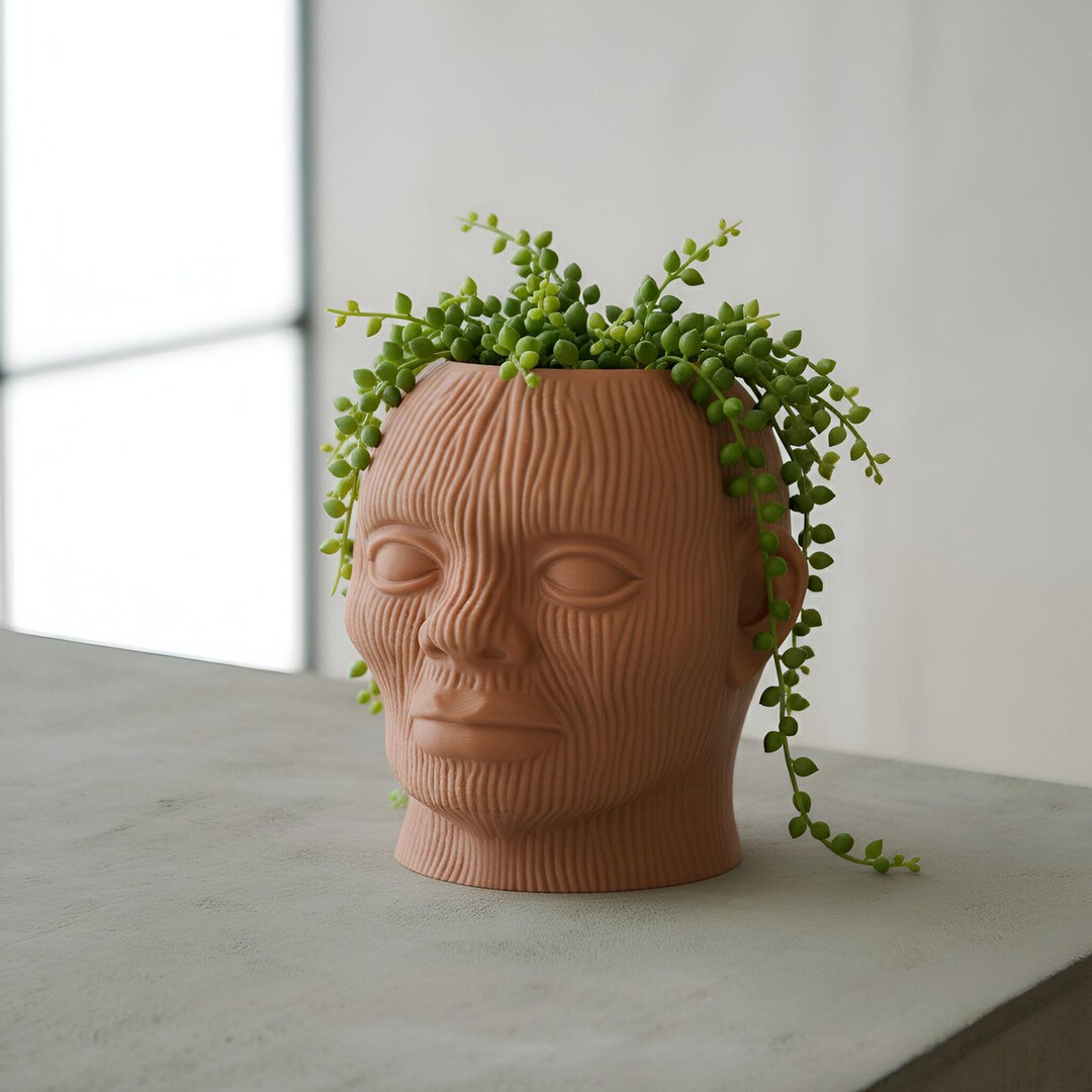 Shrunken Head Planter, 3D Printed Head Planter, Face Indoor Planter Pot ...