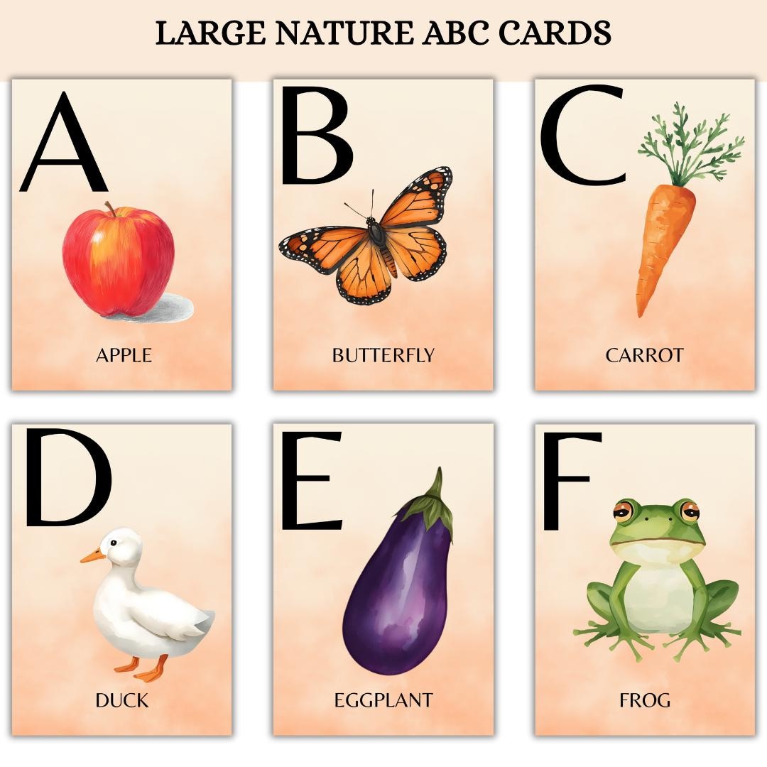 Large Nature Alphabet Cards , ABC Flashcads , Montessori Educational ...