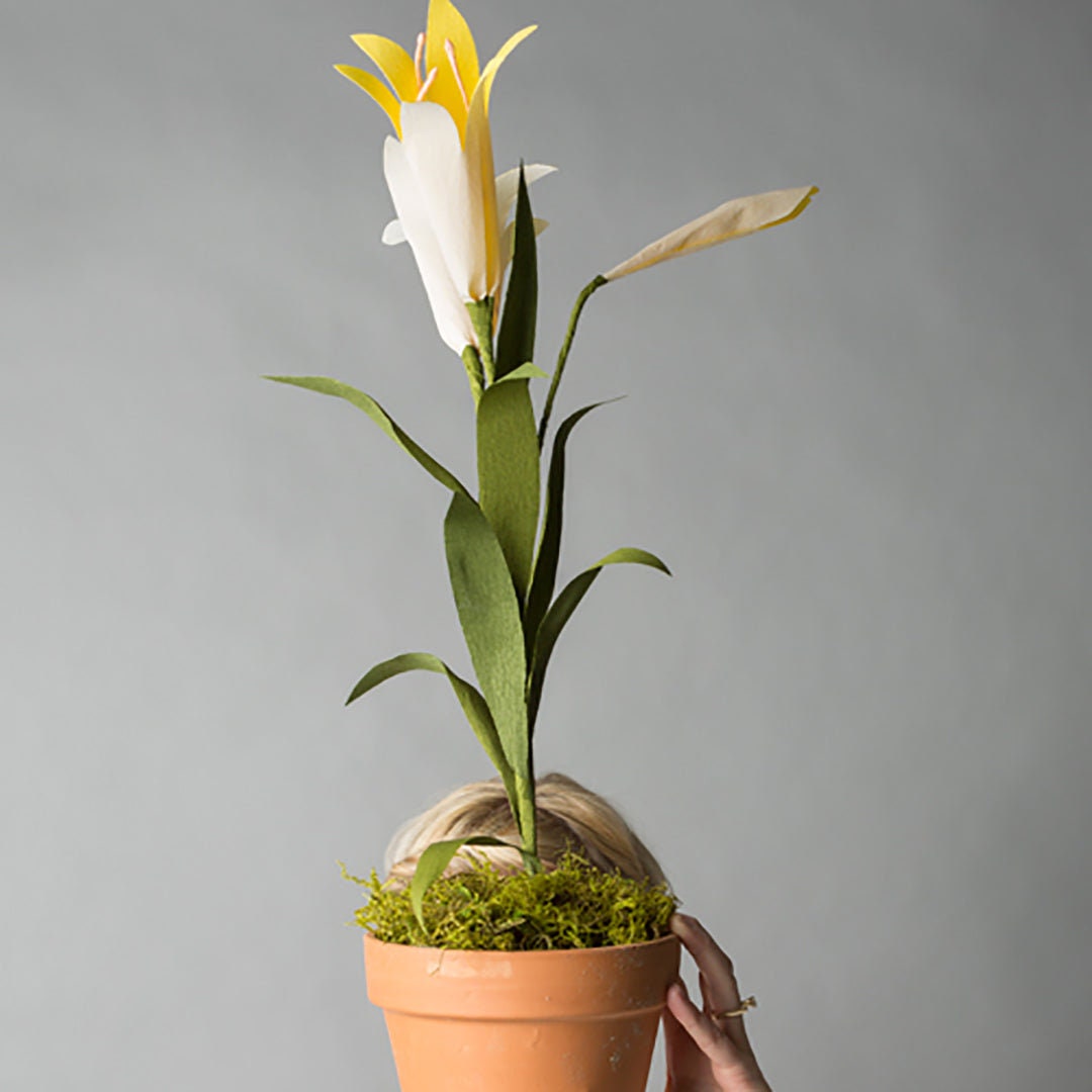 Potted Paper Easter Lily, PDF Template - Etsy