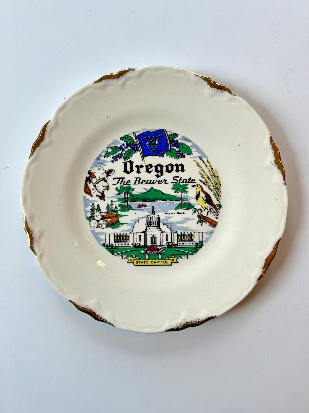 Vintage Oregon State Retro Souvenir Plate Dish the Beaver State State ...