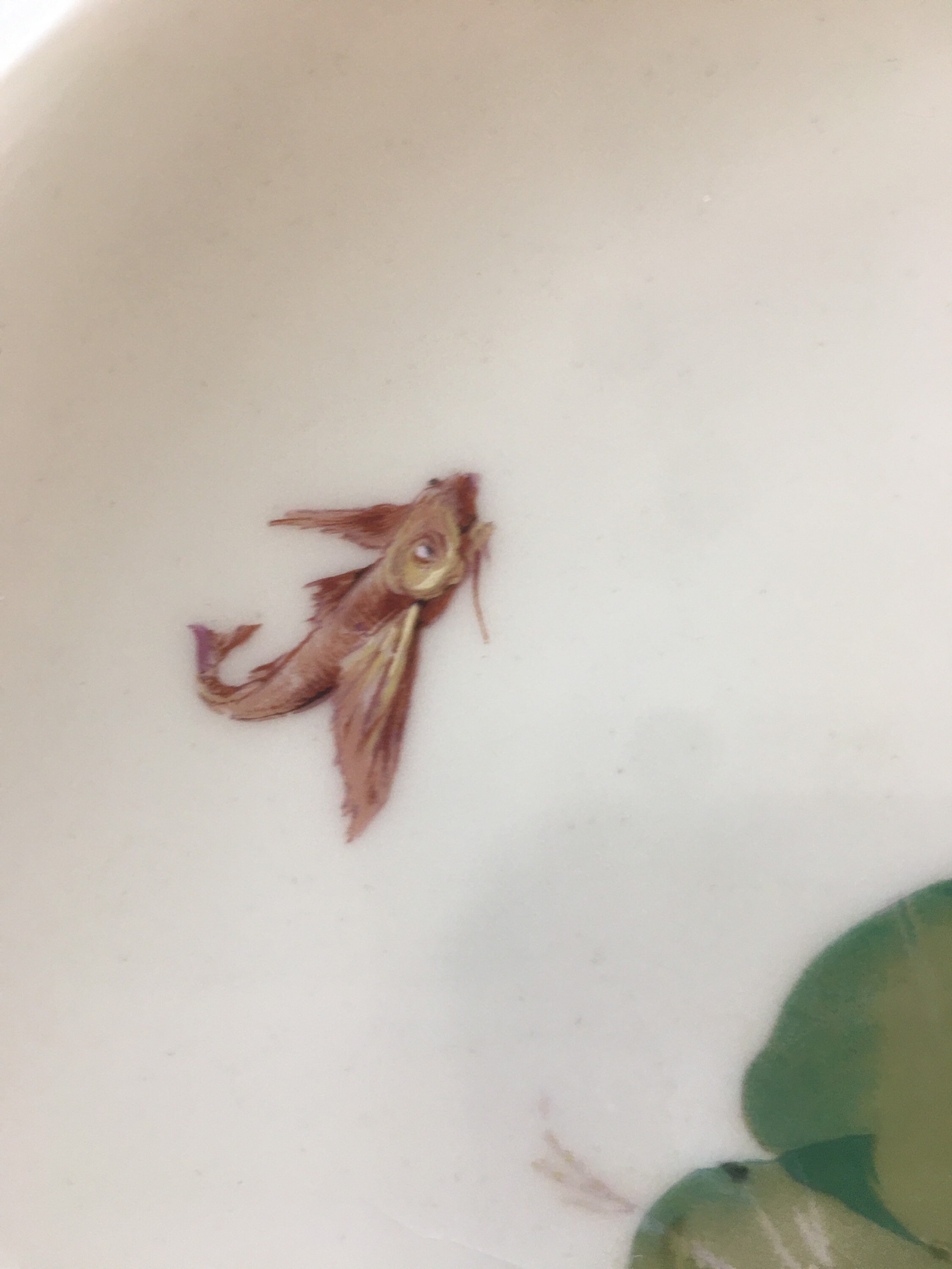 Antique Haviland Plate Under the Sea Theme Pour Burley and Tyrrel ...