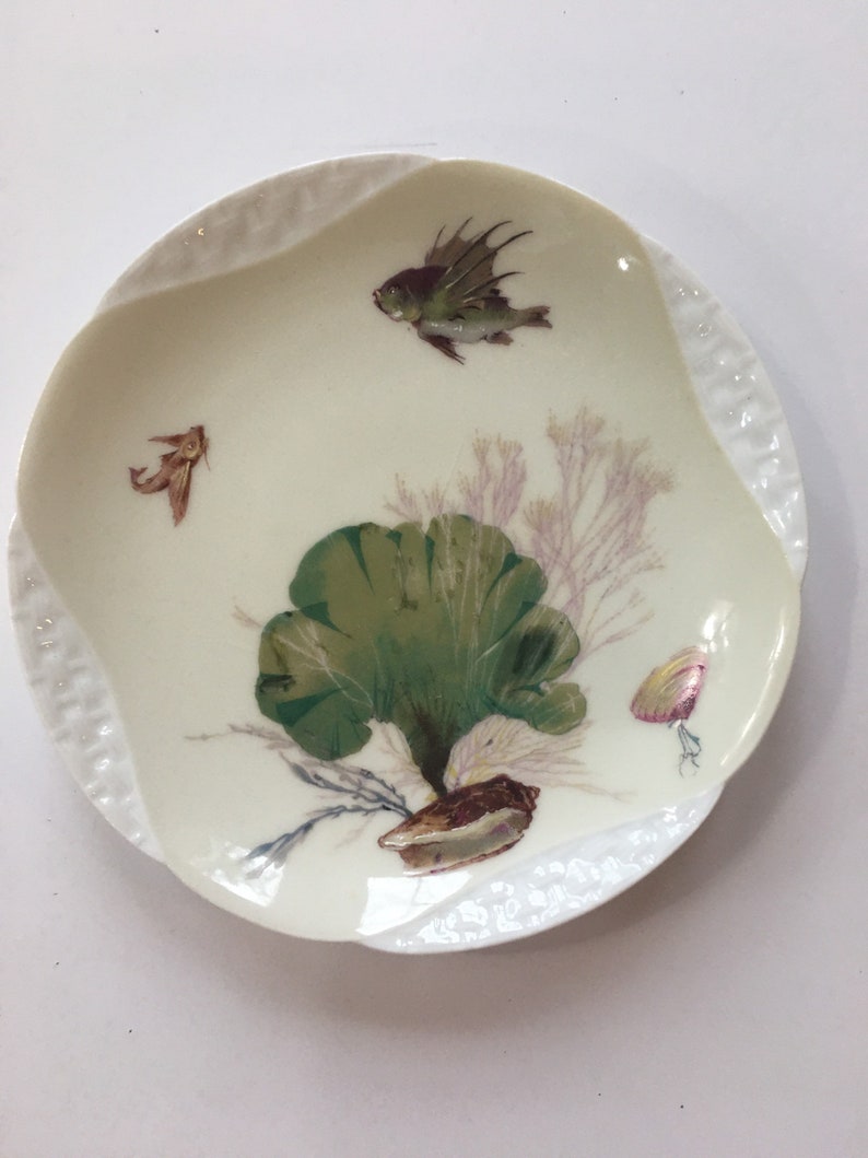Antique Haviland Plate Under the Sea Theme Pour Burley and Tyrrel ...