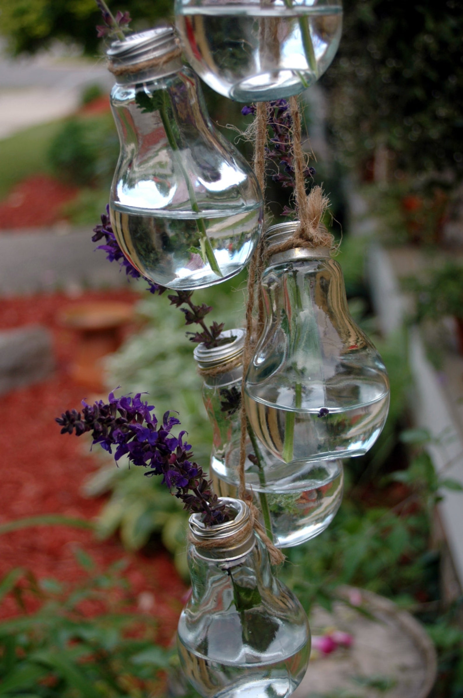 Light bulb decor hanging planter cascading planter rooter | Etsy