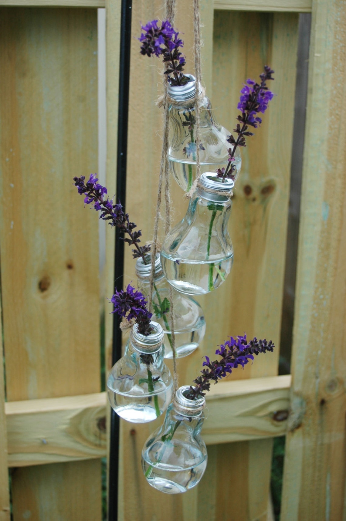 Light bulb decor hanging planter cascading planter rooter | Etsy