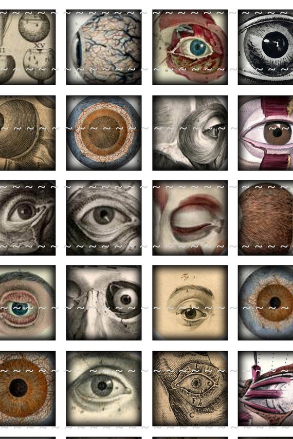 Digital Download Collage Sheet Vintage Eyes Eyeballs Anatomy | Etsy