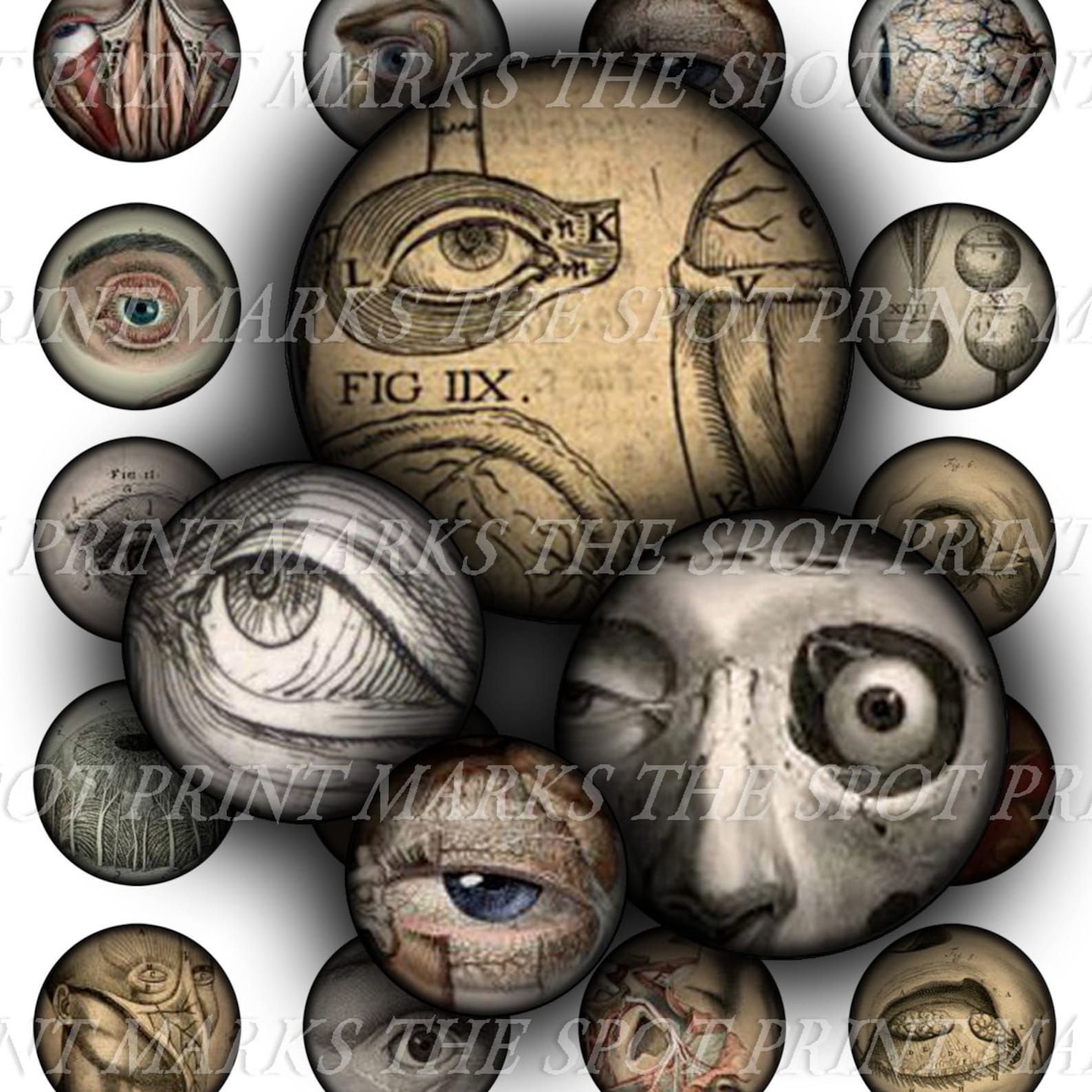 Digital Download Collage Sheet Vintage Victorian Eyes Eyeballs Anatomy ...