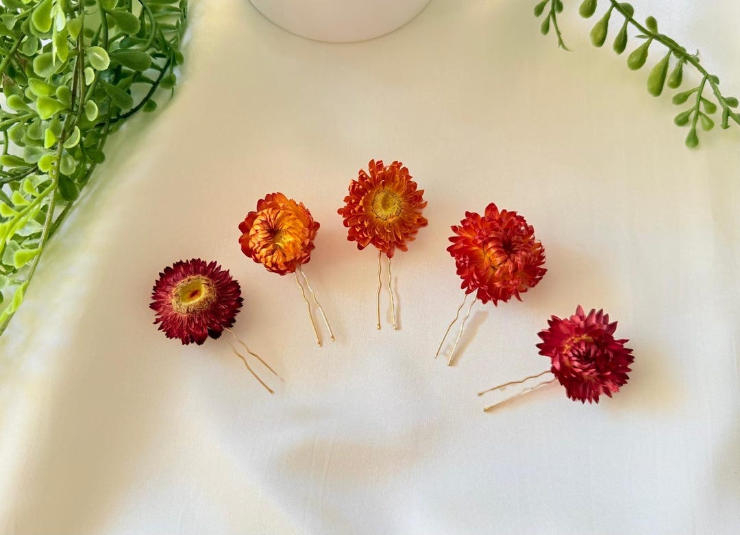Burnt Orange Terracotta Strawflower Hair Pins: Autumn Boho Wedding ...