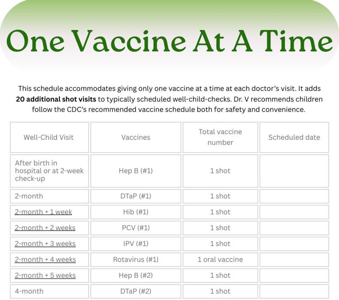 Alternative Vaccine Schedule: One Vaccine at a Time - Etsy