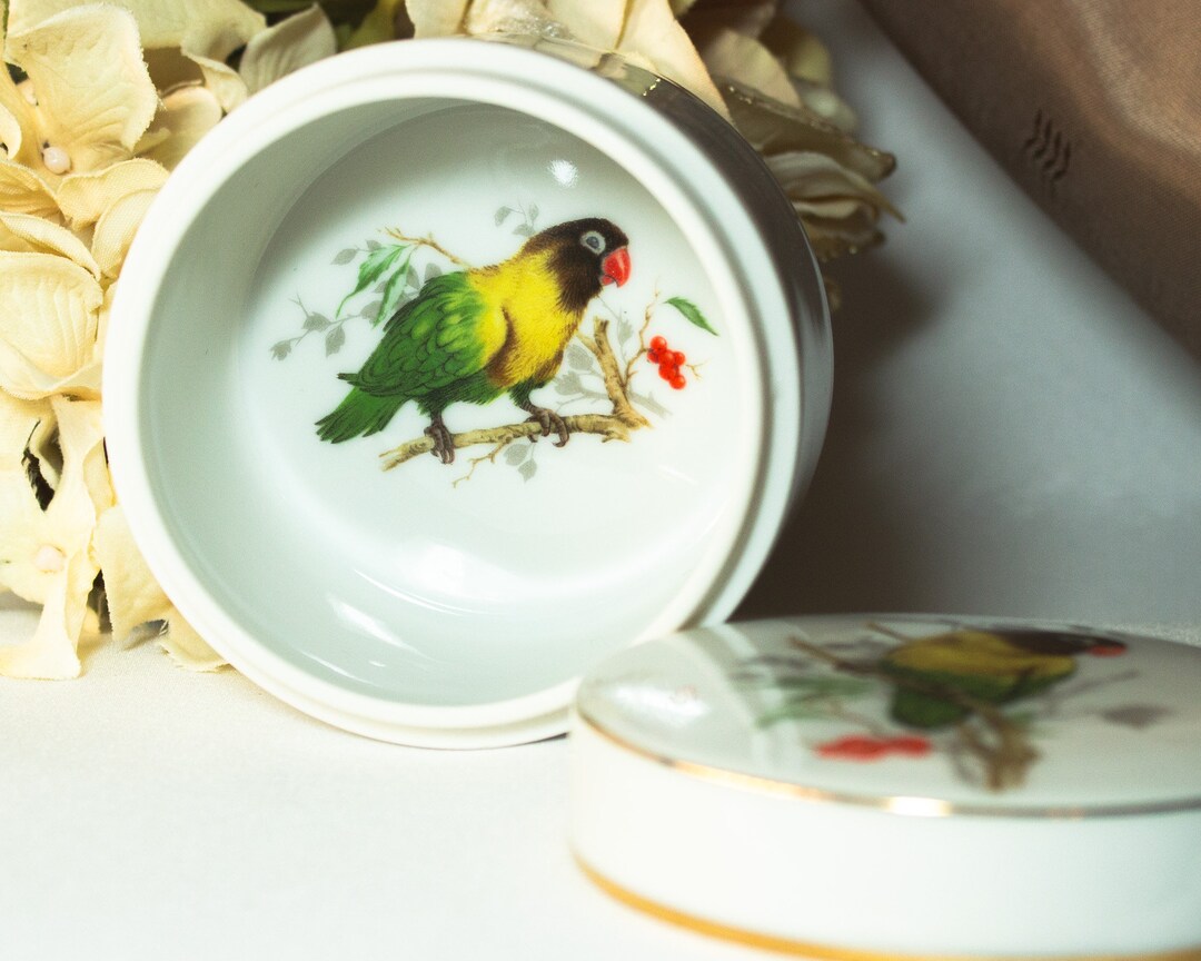 Vintage Parakeet Round Trinket Box - Etsy