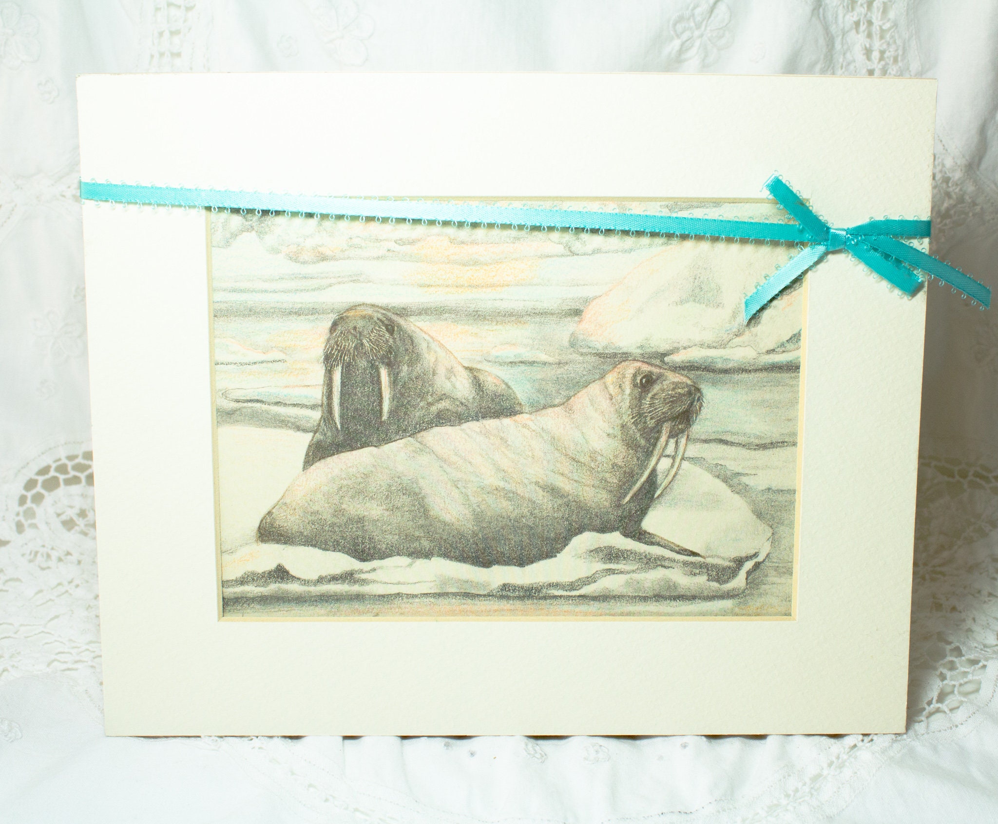 Walrus Pencil Drawing