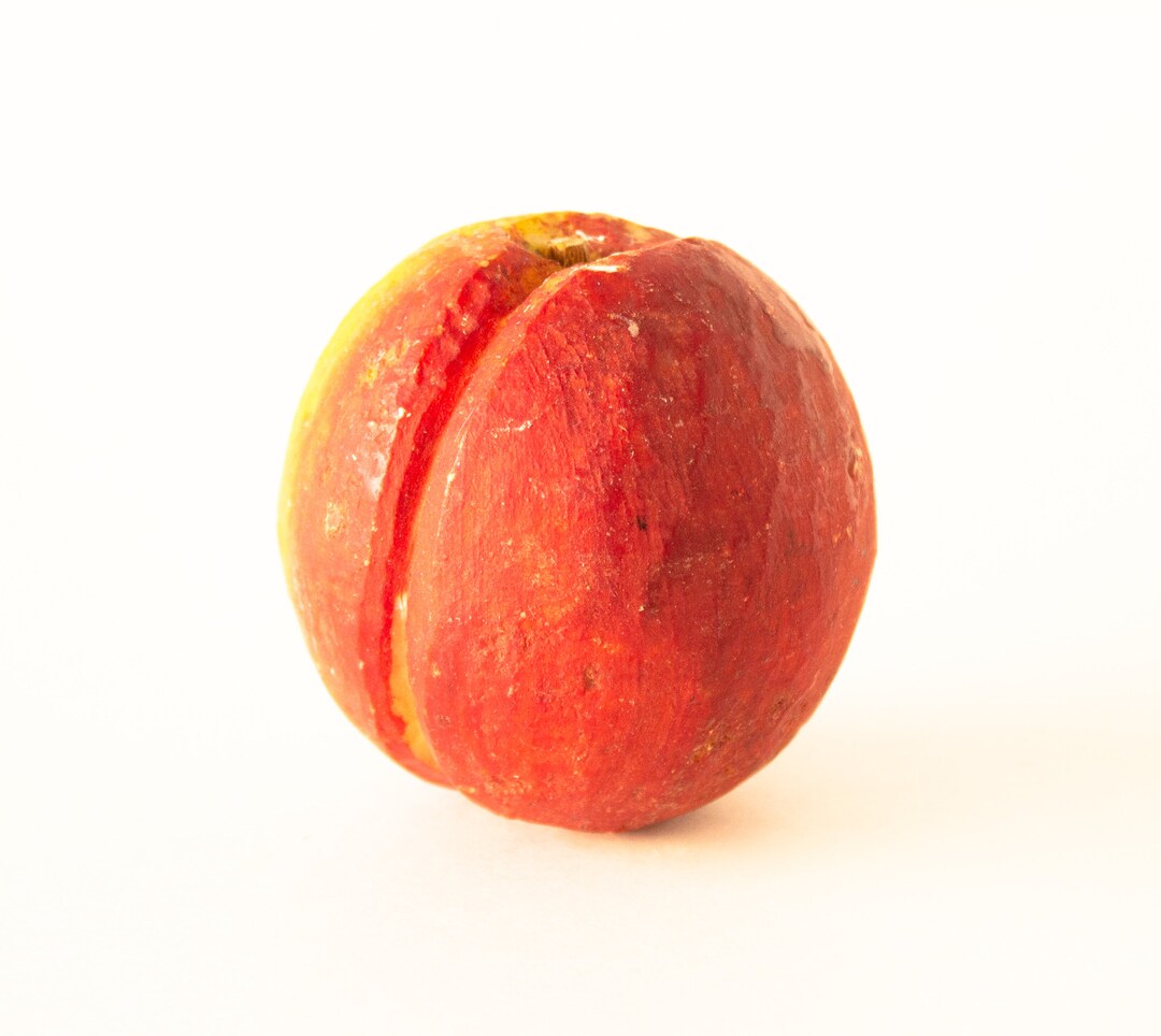 Vintage Alabaster Stone Peach 1960s - Etsy
