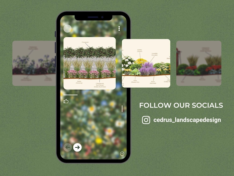 Shaded Woodland Garden Design: Zone 6 Planting Plan (PDF Downloadable ...