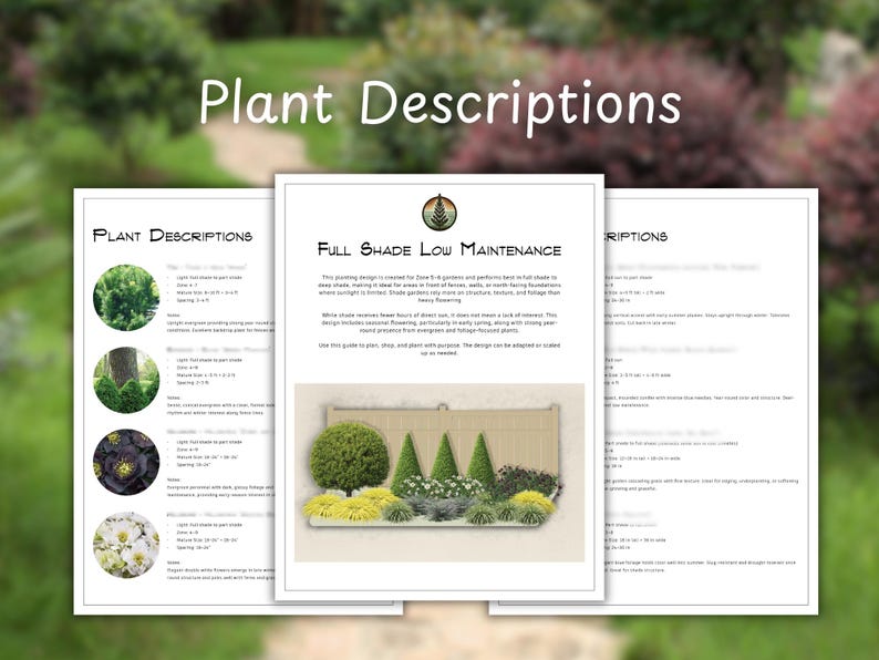 Full Shade Low Maintenance Fence Line Garden Bed | Zone 5-6 - Etsy