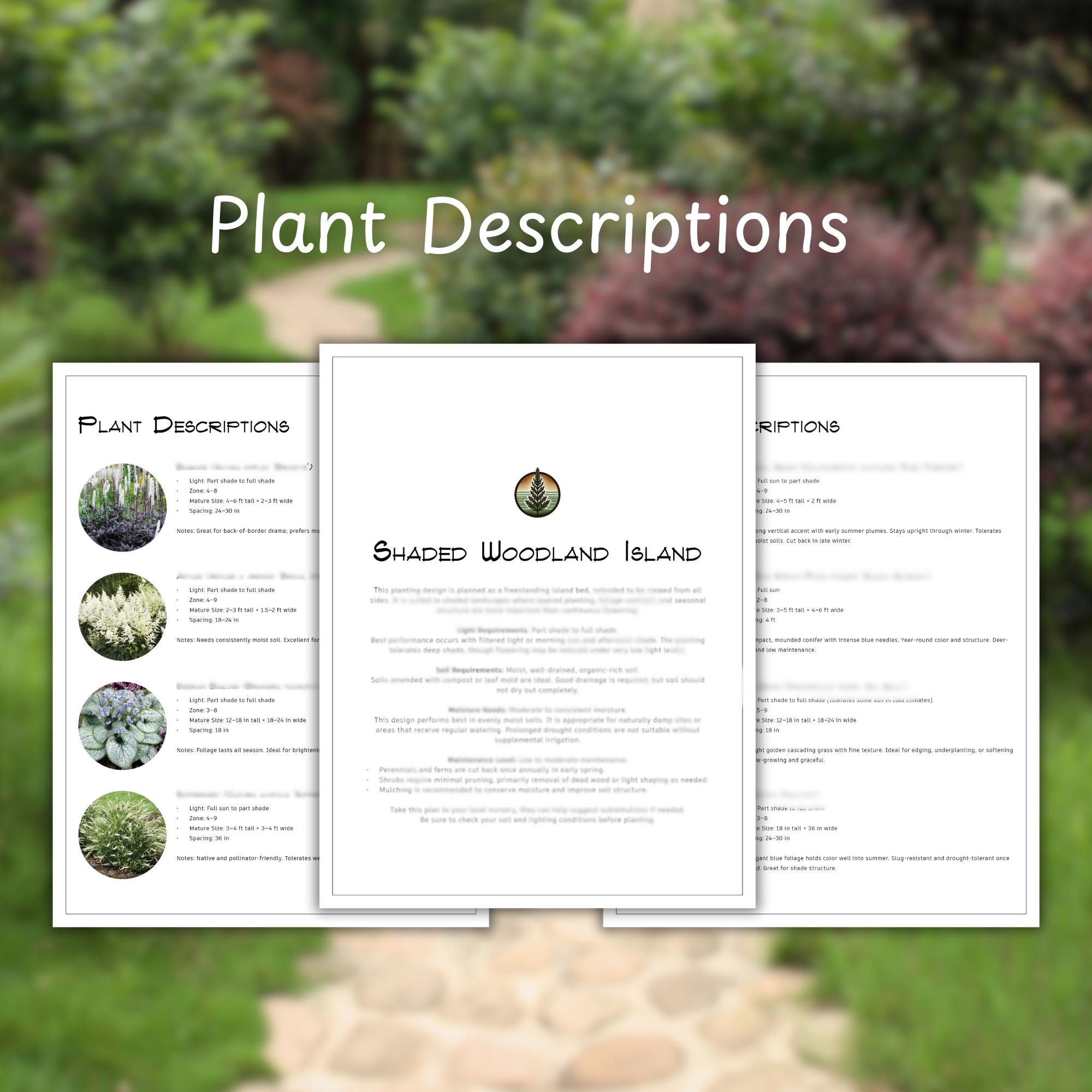 Shaded Woodland Island: Zone 4 - 8 Planting Plan (PDF Downloadable) - Etsy