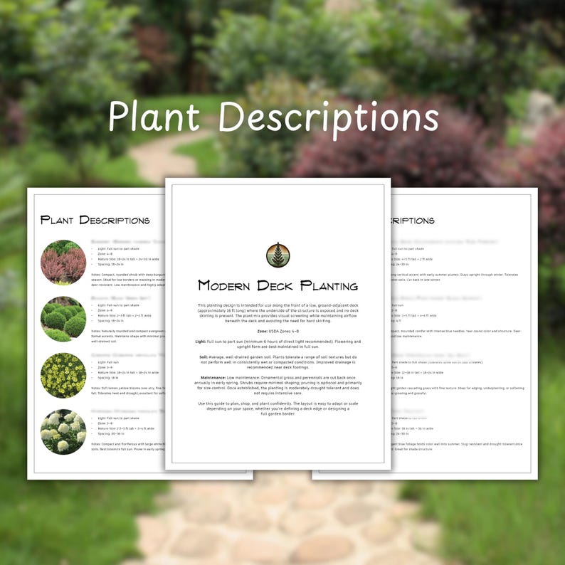 Modern Deck Garden Design Plan: USDA Zone 6 (PDF Downloadable Plan ...