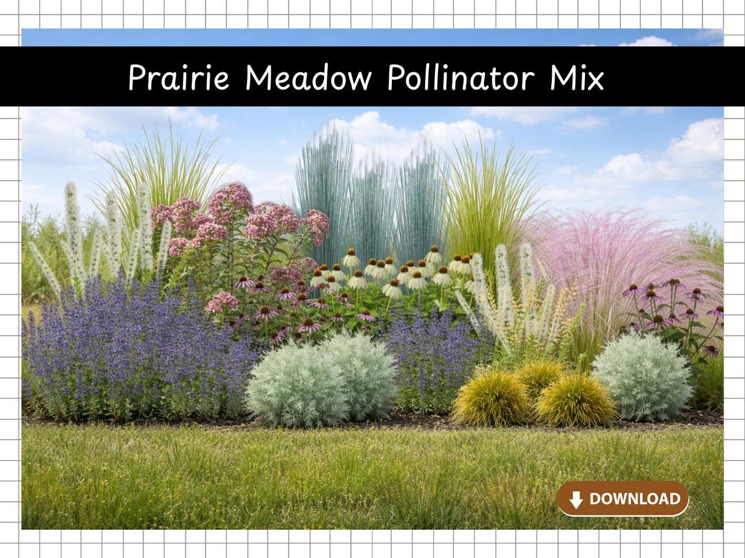 Prairie Meadow Pollinator Mix: Printable Landscape Design (PDF Download ...