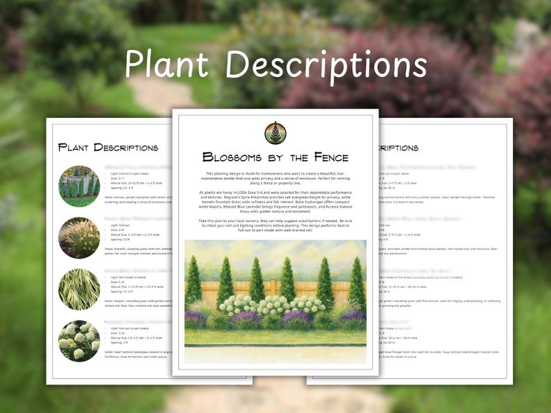 Blossoms by the Fence Garden Design: Pre-made Planting Plan (PDF ...