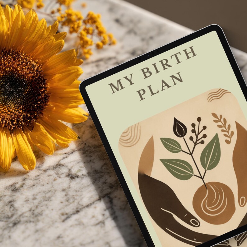 Editable Birth Plan Template Bundle, Labor & Delivery Checklist (PDF ...