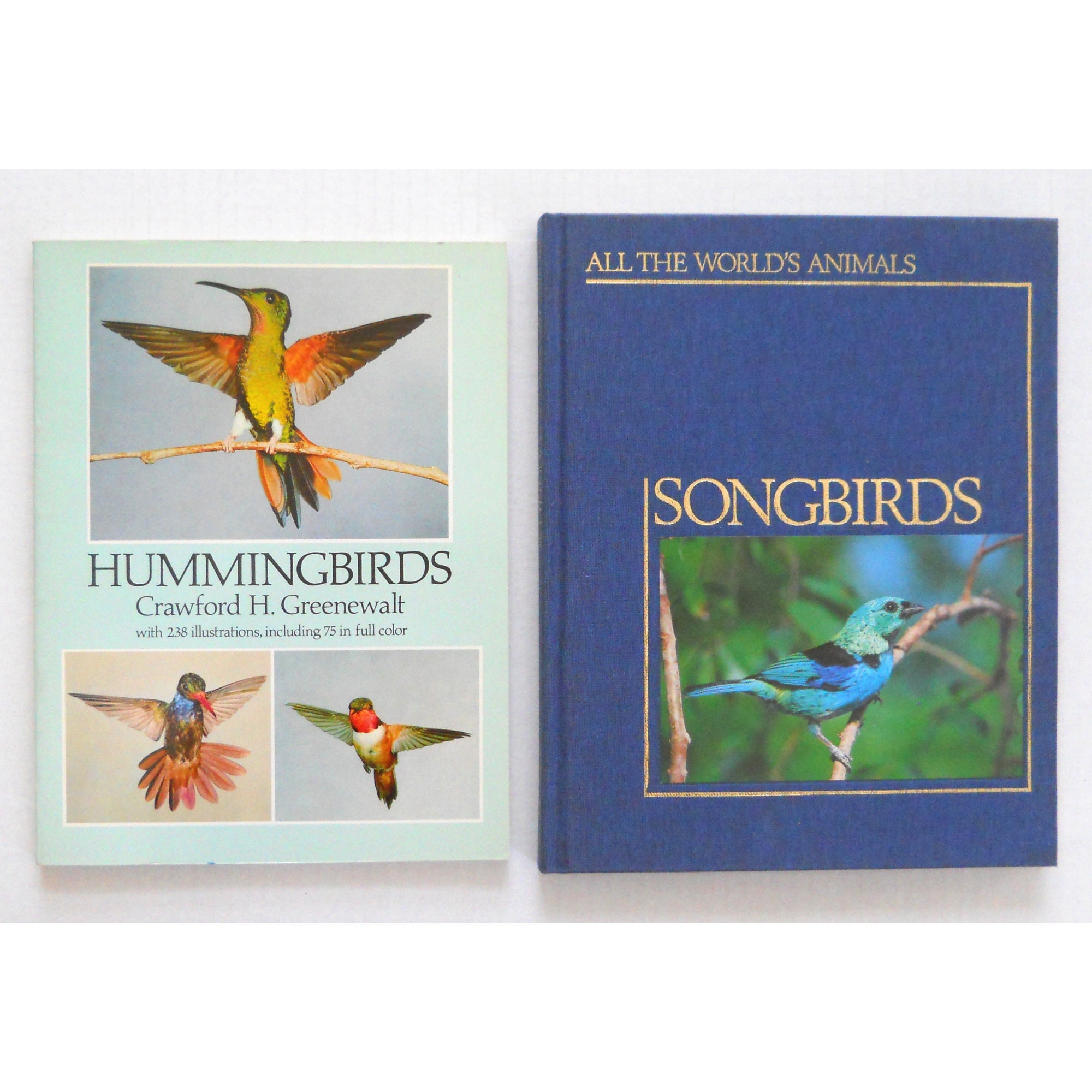 2 BOOKS: hummingbirds & songbirds - Etsy
