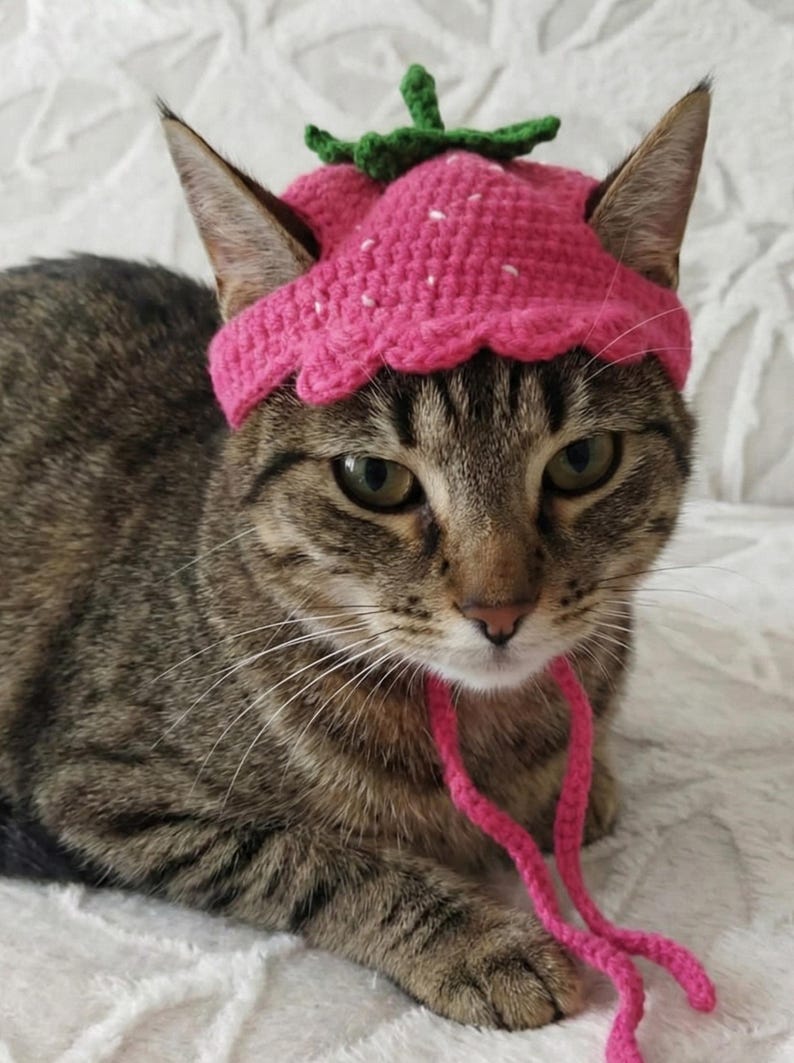 Handmade Strawberry Hat for Cats, Cute Crochet Pet Beanie, Funny Cat ...
