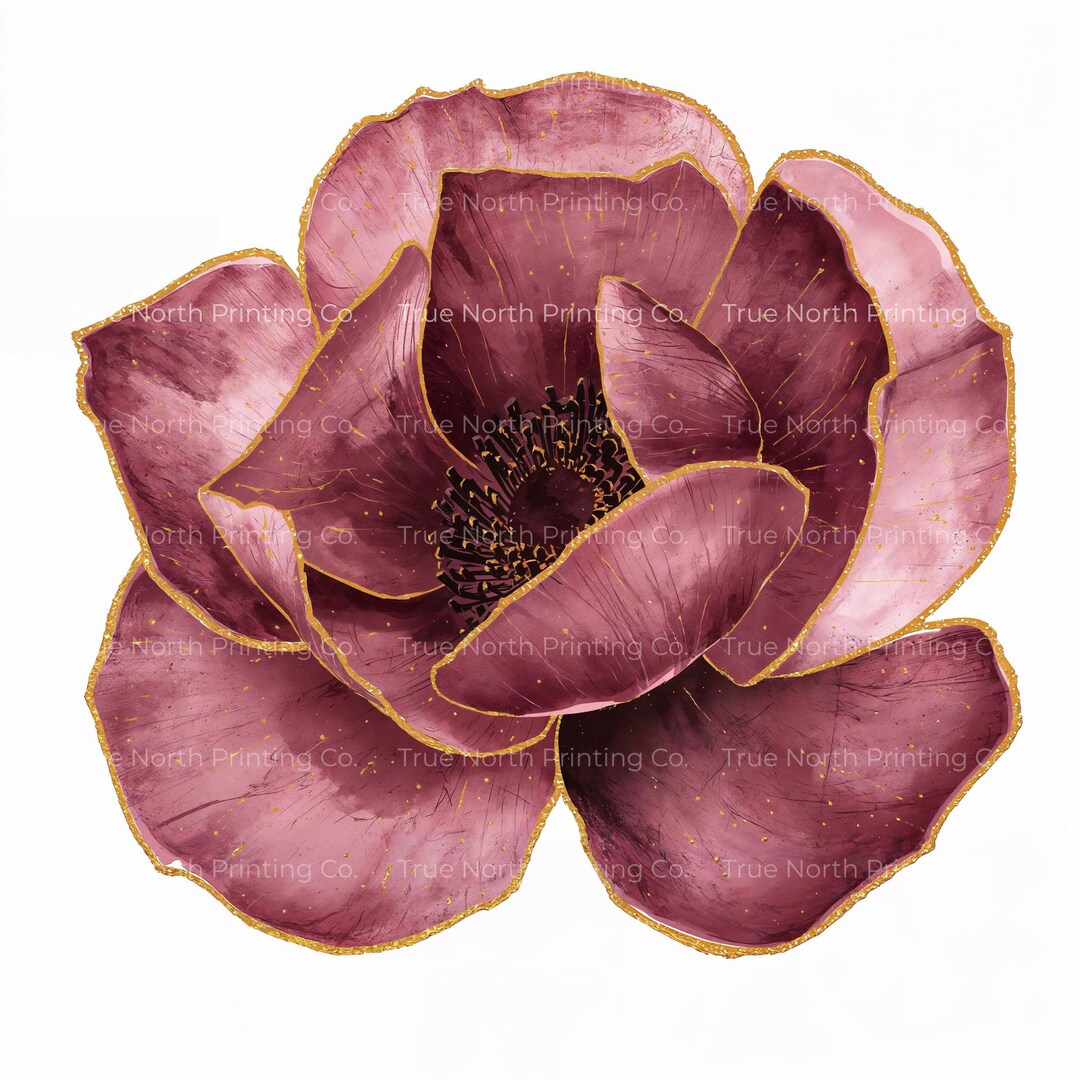 8 Burgundy and Gold Helleborus Flowers | Modern Botanical Print ...