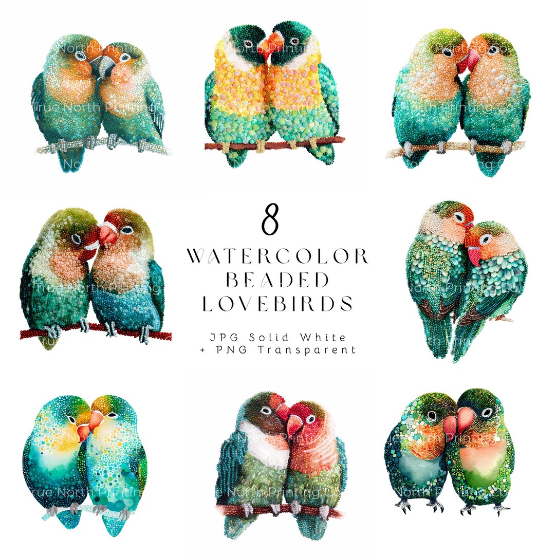 Beaded Lovebirds Clipart Set - PNG & JPG Commercial Use Bundle ...