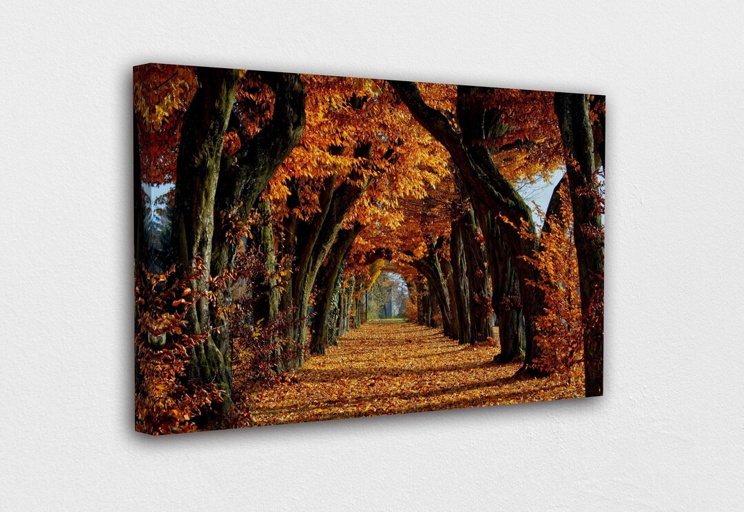 Big Autumn Tree Forest Canvas Art / Glass Wall Art Design | Poster ...