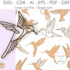 Hummingbird Heartbeat Svg Png Dxf Cut Files for Cricut, Silhouette ...