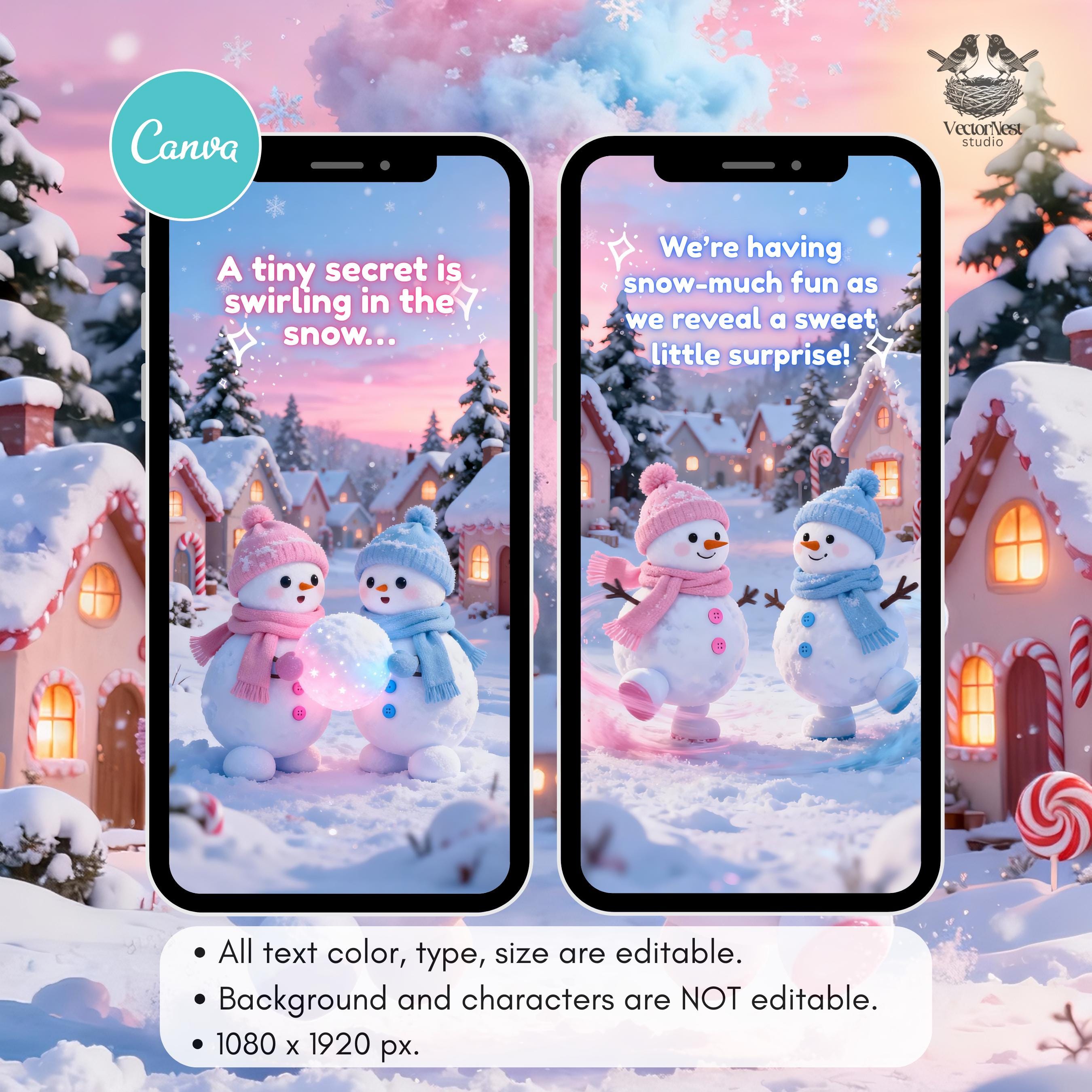 Snowman Gender Reveal Video Invitation Winter Wonderland Digital ...