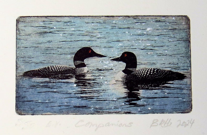 Etching, Loons, Small Hand-coloured Unframed Print on Paper - Etsy
