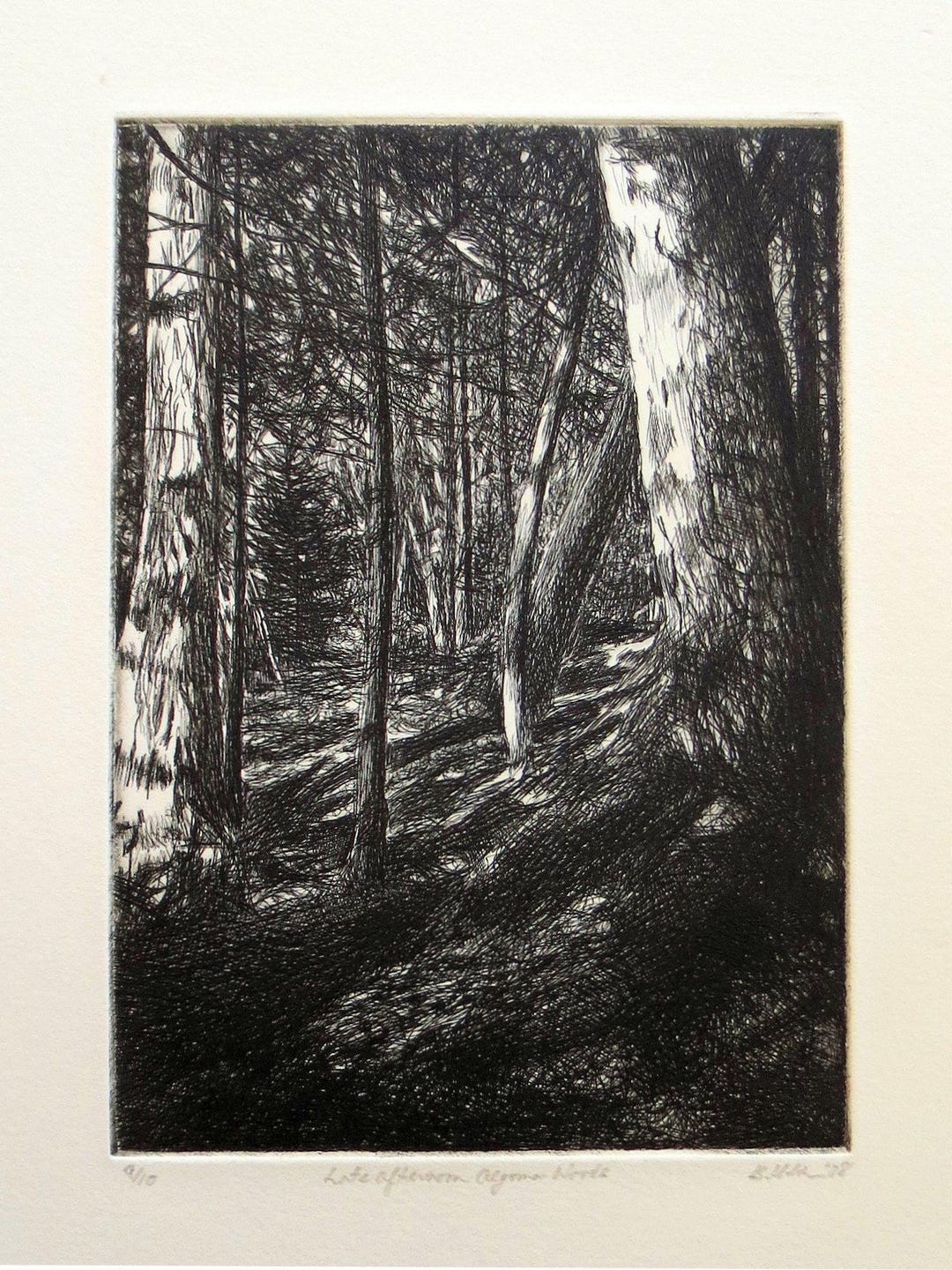 Etching/engraving, Forest, Light & Shadow, Landscape - Etsy