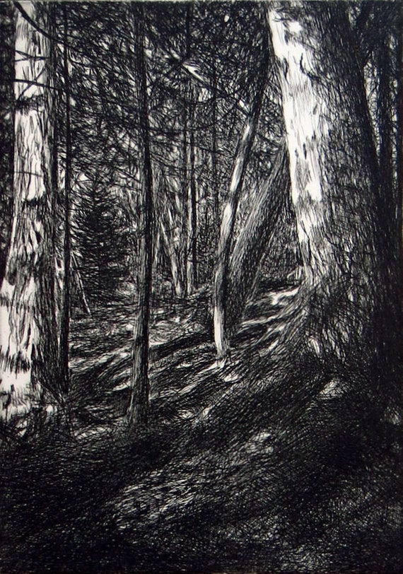 Etching/engraving Forest Light & Shadow Landscape - Etsy