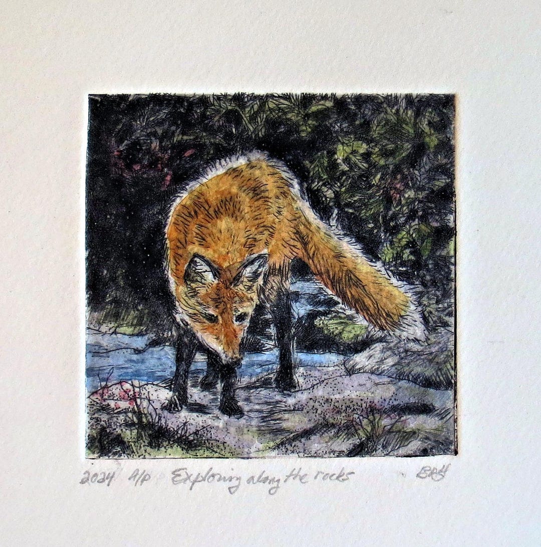 Drypoint, Made off a Tetra-pak Plate, Hand-coloured, Fox Study - Etsy ...