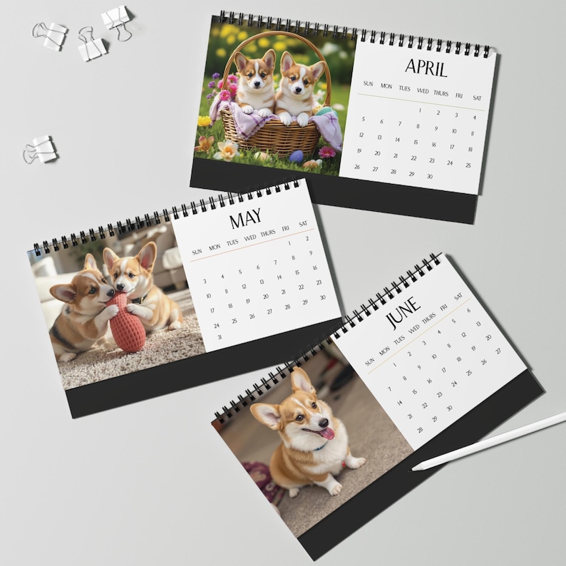 Corgi Puppies 2026 Desktop Calendar Corgi Lover Gift Dog Mom Stocking ...