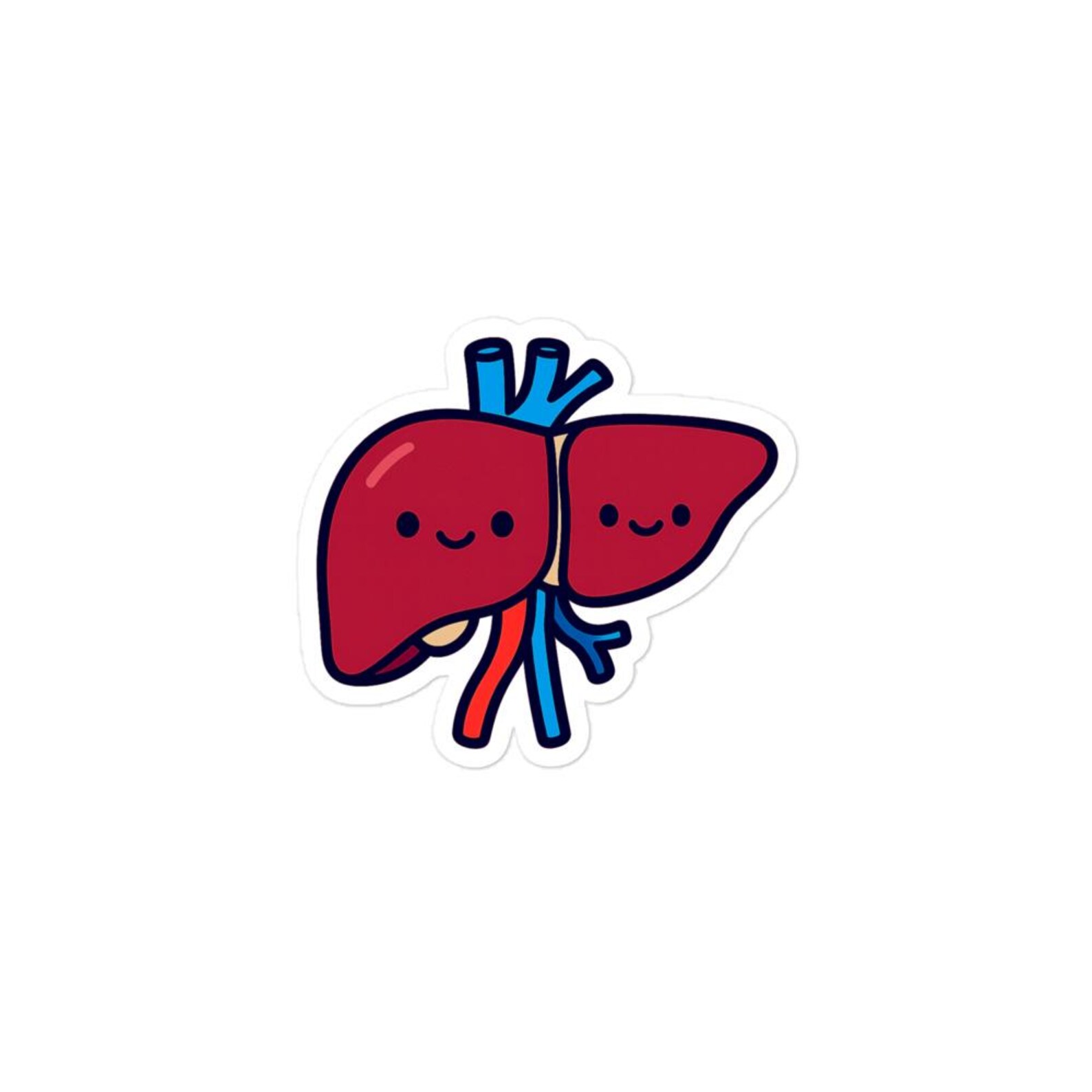 Healthy Liver, Bubble-free Matte Vinyl Stickers, Healthcare and Organs ...