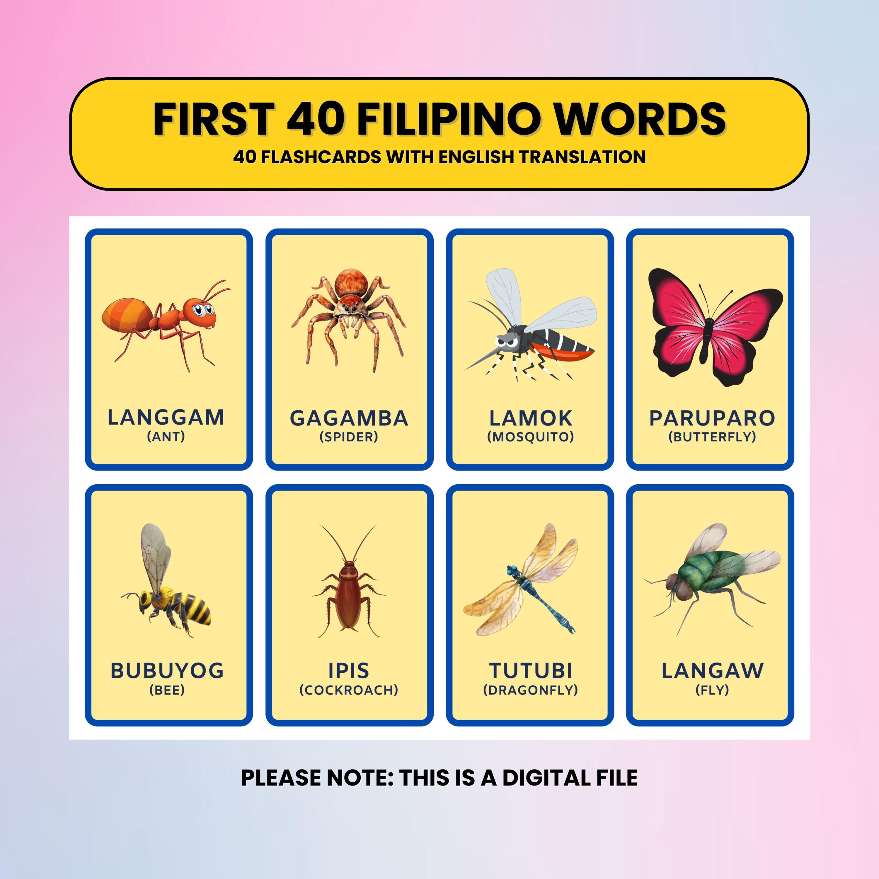 First 40 Filipino Words Printable Flashcards With English Translation ...