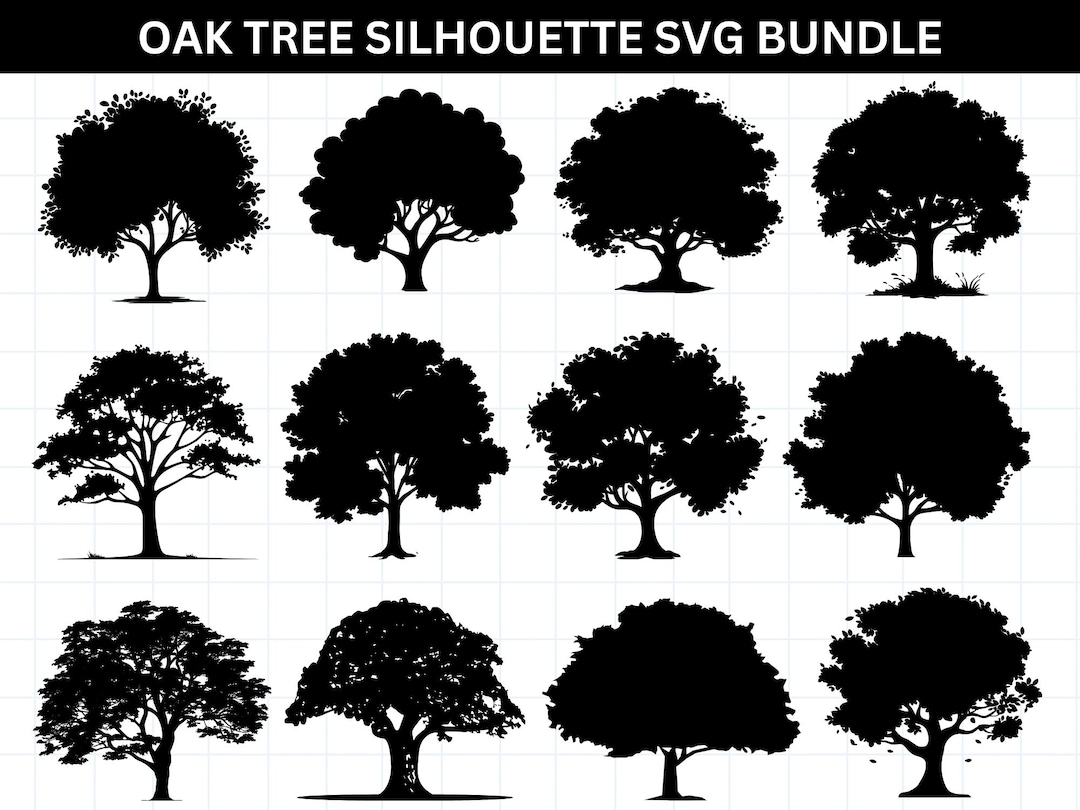 Oak Tree SVG Bundle , Tree Svg, Big Tree Svg, Oak SVG, Outdoor SVG ...