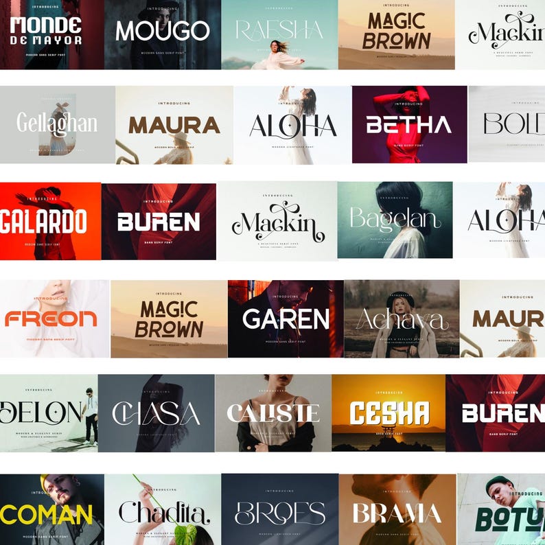 Elegant Font Bundle: Modern Serif, Script & Logo Fonts - Etsy