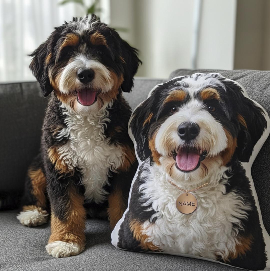 Personalized Pet Shaped Pillow, 3D Photo Pillow, Pet Lover Gift, Dog ...