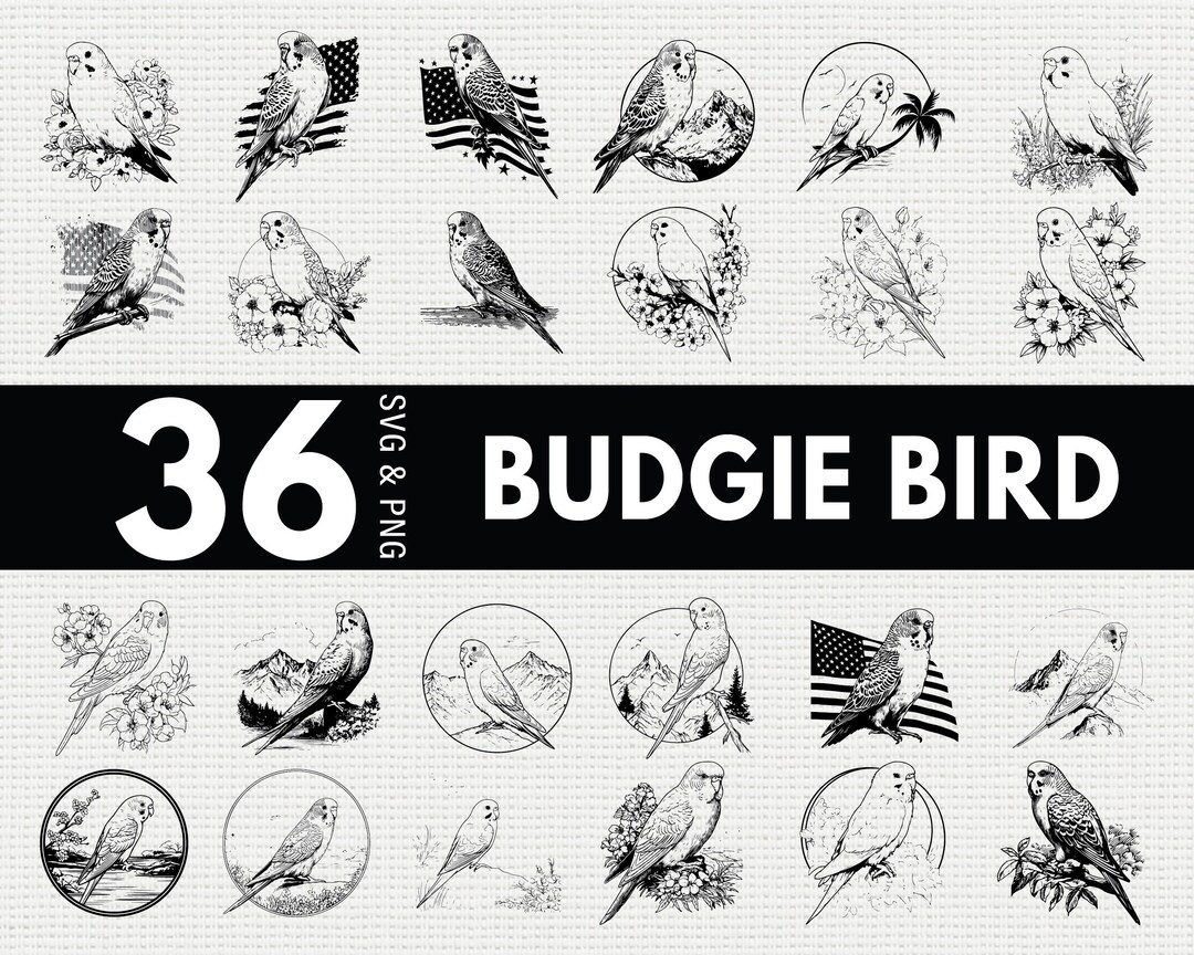 Budgie Bird Silhouette SVG Bundle | Parakeet SVG PNG Clipart for Cricut ...