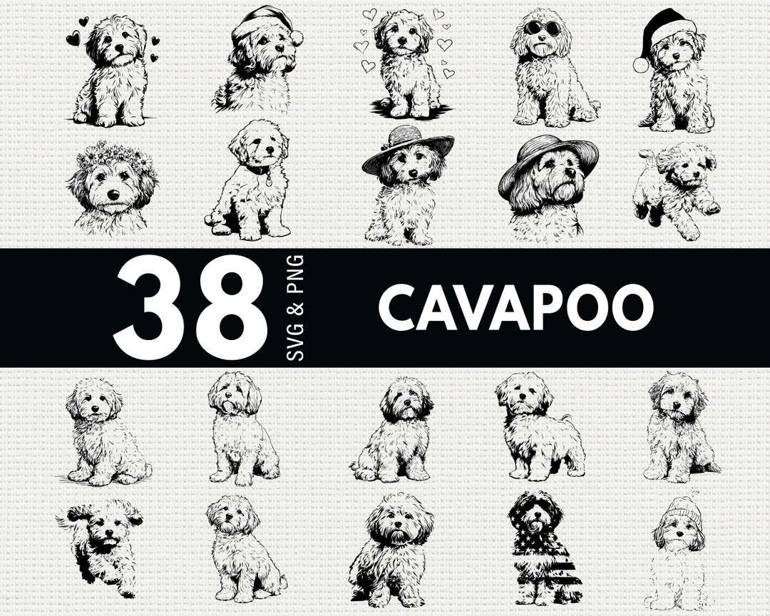 Cavapoo SVG PNG Bundle, Doodle Dog Silhouette Clipart, Puppy Pet Lover ...