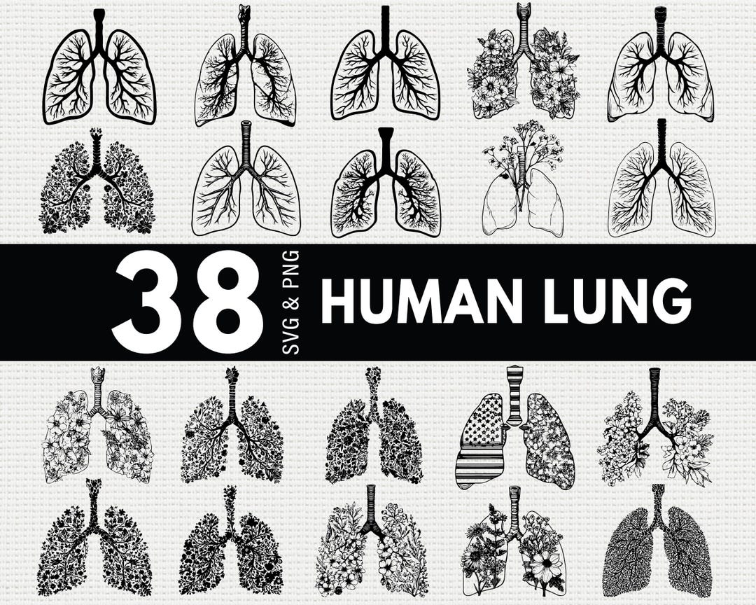 Human Lung SVG PNG Bundle, Anatomy Silhouette Clipart, Medical Science ...