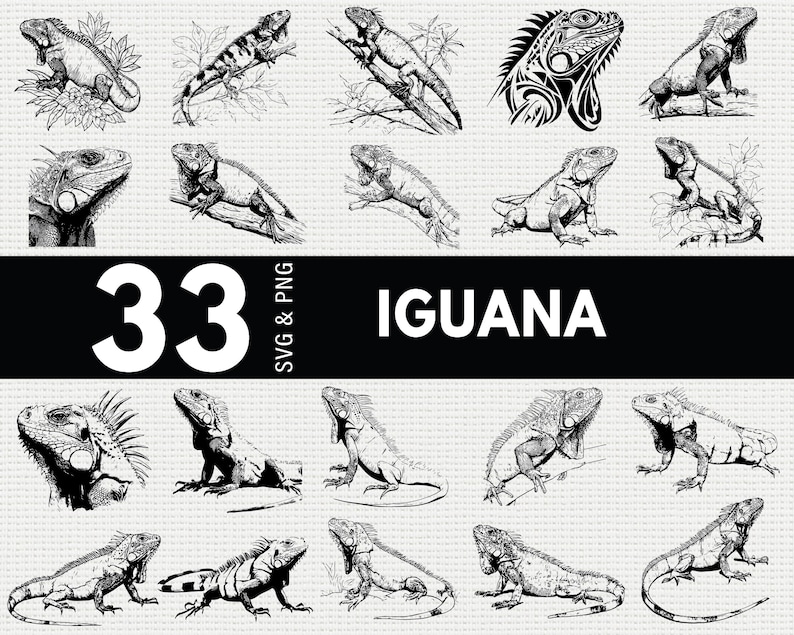 Iguana SVG Bundle, Lizard Silhouette PNG, Green Reptile Clipart ...