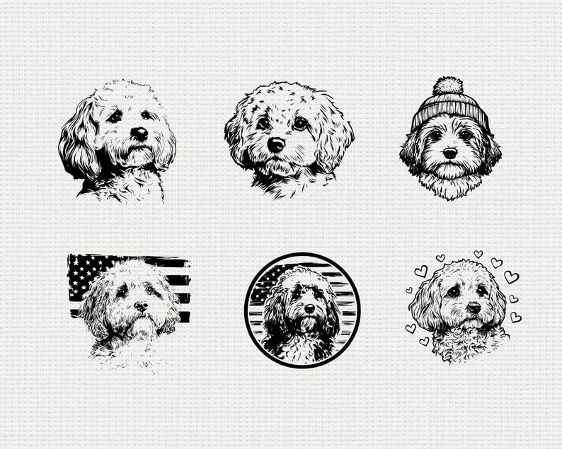 Cavapoo SVG PNG Bundle, Doodle Dog Silhouette Clipart, Puppy Pet Lover ...
