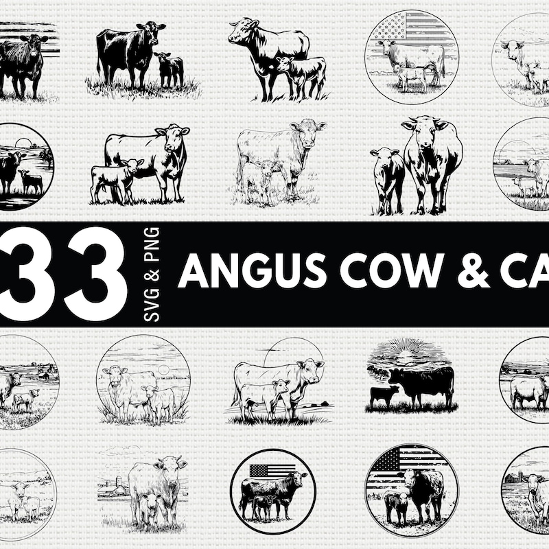 Angus Cattle Graphic - Etsy