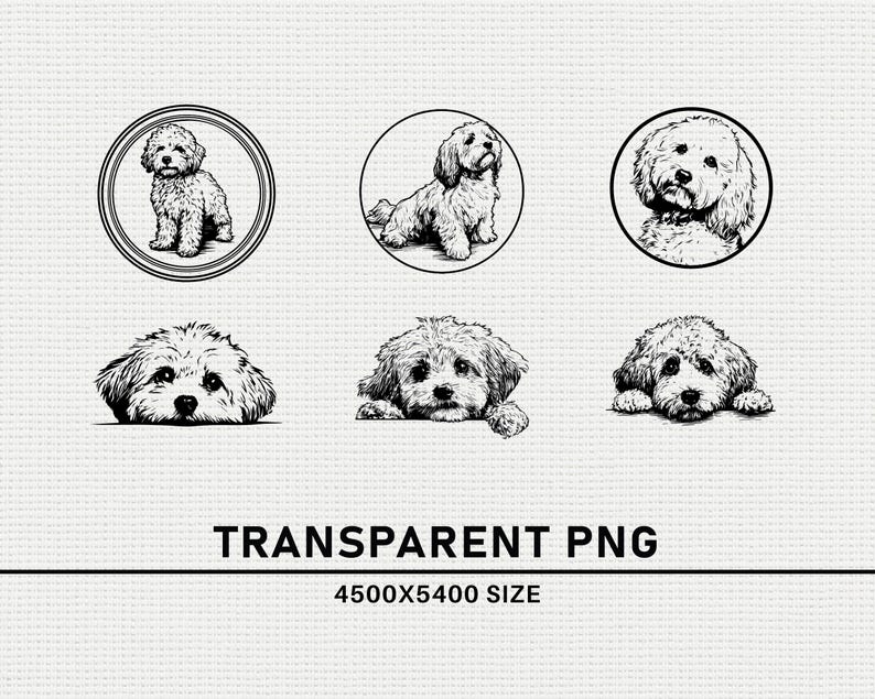 Cavapoo SVG PNG Bundle, Doodle Dog Silhouette Clipart, Puppy Pet Lover ...