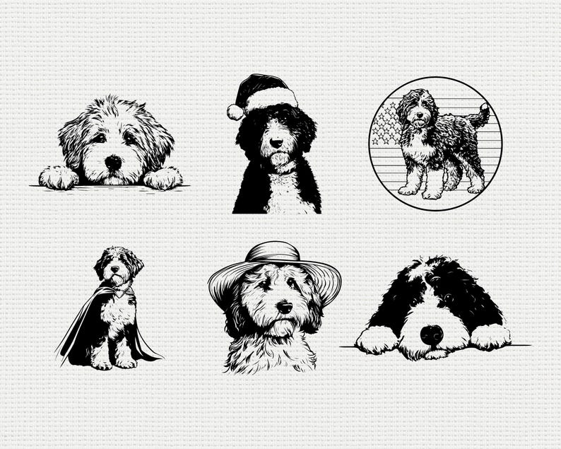 Bernedoodle SVG PNG Bundle, Bernedoodle Dog Silhouette Clipart, Pet ...
