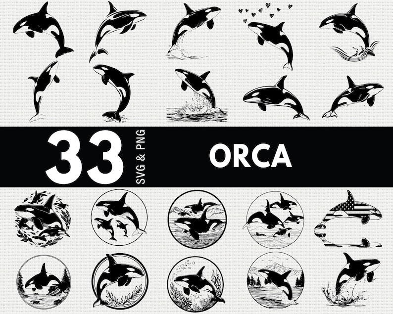Orca PNG Clipart Bundle, Killer Whale Images, Sea Animal Transparent ...
